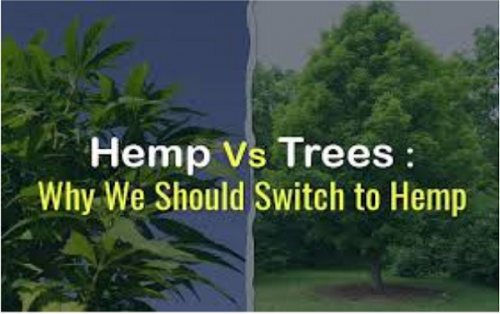 Why Hemp Is Considered A Gift Of Nature
